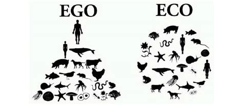 Diagram Ego Eco Humankind Is Part Of The Ecosystem Not Apart From Or Download Scientific