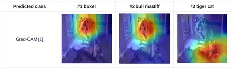 Grad Cam Demystified Understanding The Magic Behind Visual