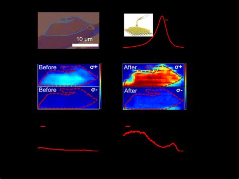 A Optical Image Of 1l Mos2 On A Sio2 Si Substrate B Pl Spectra Of Download Scientific