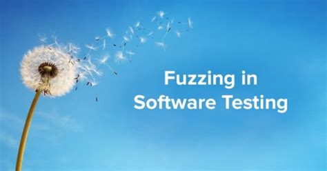 What Is Fuzz Testing QATestLab Blog