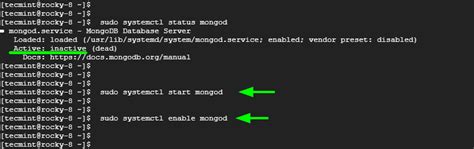 How To Install Mongodb On Rocky Linux And Almalinux