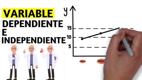 Relación Entre Variables Cómo La Variable Independiente Afecta A La Variable Dependiente En Una