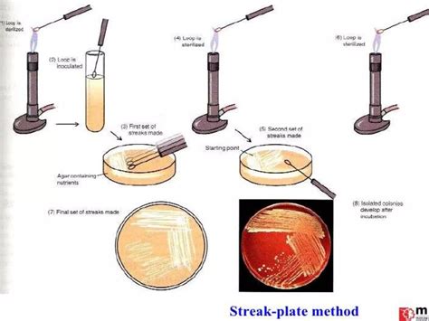 Methods Of Microbiolgy Ppt