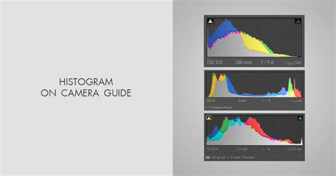 Histogram On Camera And How To Read It