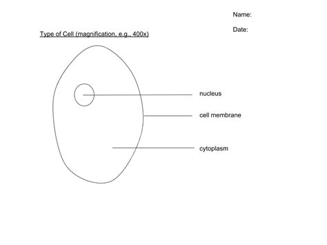 Fantastic Info About How To Draw Biological Diagrams Householdother