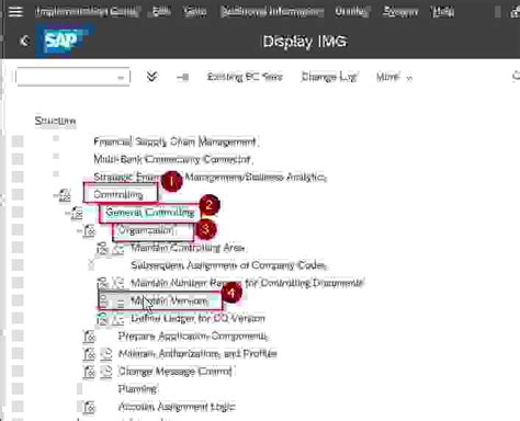 How To Maintain Versions In Sap Controlling