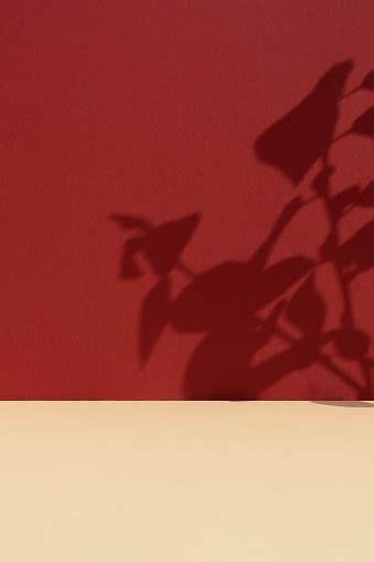 붉은 벽과 베이지 색 테이블에 식물 잎의 그림자가있는 프리미엄 연단 화장품 프리젠 테이션을위한 최소한의 추상적 인 배경 쇼케이스