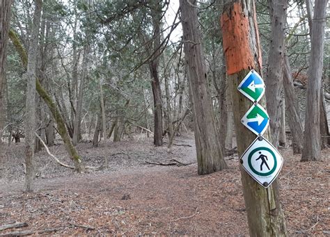 Double Quote In Value String When Loading Json Data To Snowflake By Feng Li Medium