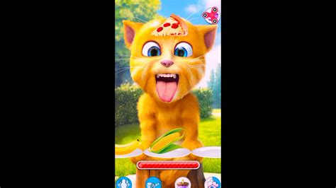 Talking Ginger Cat Funny Video 😵🤓 Youtube