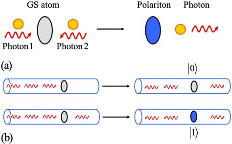 Polariton Photon Transition In A Coupled Cavity Array Coupled To A