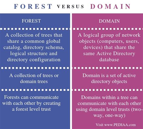 What Is The Difference Between Forest And Domain Pediaa
