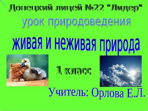 Живая и неживая природа 1 класс презентация доклад проект скачать