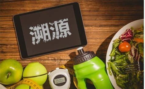 防伪追溯技术的应用