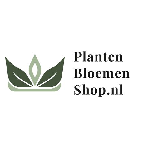 Plantenbloemenshopnl Exloo