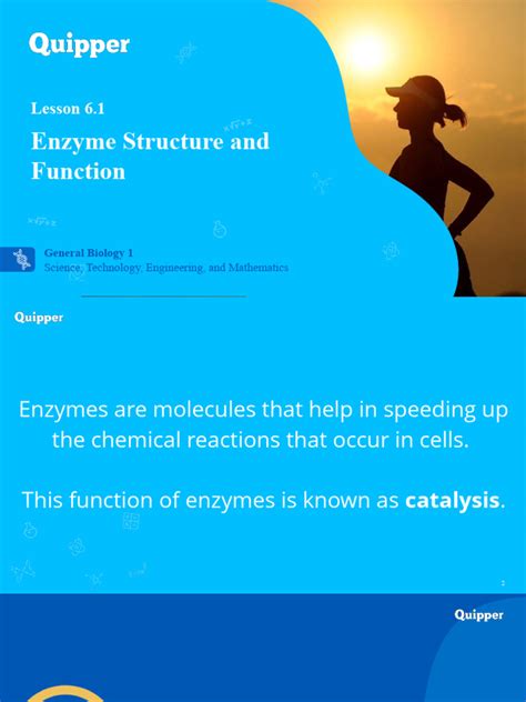 Enzyme Structure And Function Overview Pdf Enzyme Active Site