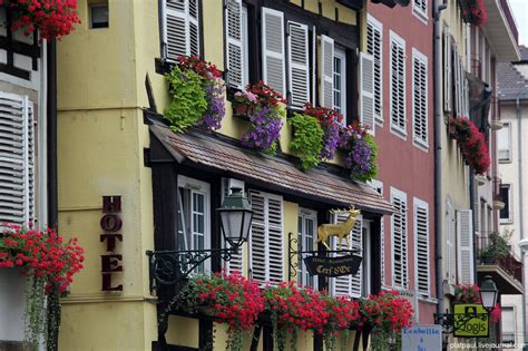 Страсти по Страсбургу Часть пятая Platpaul — Livejournal