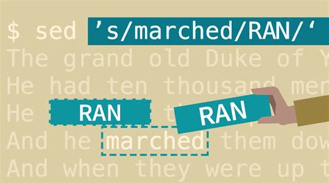 Online Course Sed Essential Training From Linkedin Learning Class Central