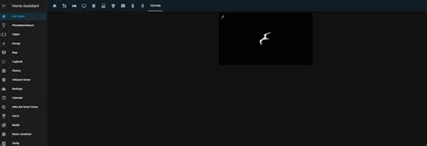 Frigate Birdseye Bigger Card Option Third Party Integrations Home Assistant Community