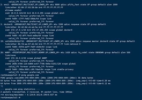 [help Wanted 求助] Warp Go如何使用 · Issue 232 · Fscarmen Warp · Github