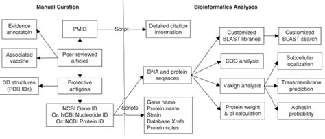 Semi Automatic Annotation Of Protective Antigens In Protegen Overall