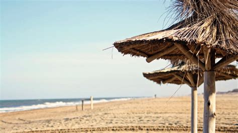 Playas Escondidas En Buenos Aires Rodeadas De Bosques