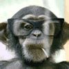 Dp Bbm Bergerak