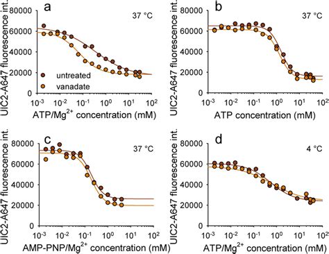 Uic2 Mab Binding To Staphylococcus Alpha Toxin Permeabilized Nih 3t3