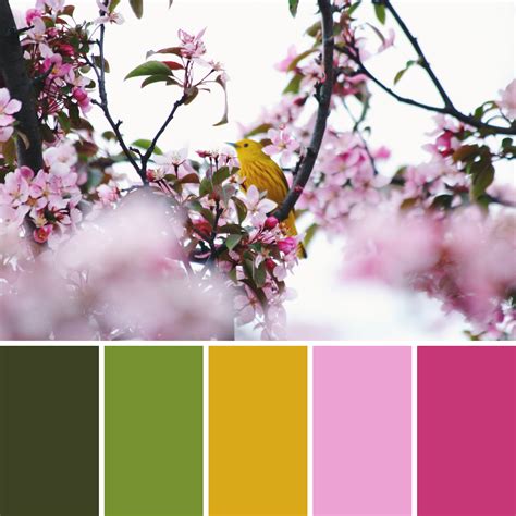 Spring Colour Palettes Hex Codes Mean Creative