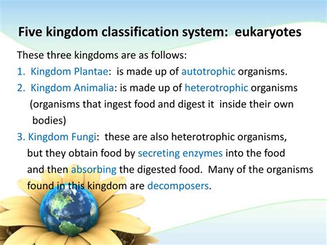 Biodiversity And Classification Ppt