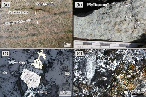 Photographs And Photomicrographs Of Porphyry Style Alteration And Download Scientific Diagram