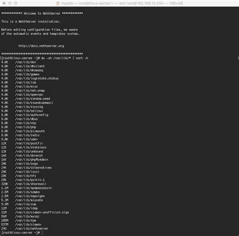 Root Partition FULL Support NethServer Community