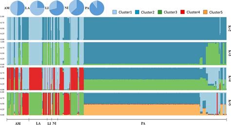 bayesian clustering of phytophthora infestans genotypes based on the