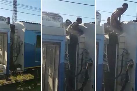 Bajadasaurus Pronuspinax Descubrieron En La Patagonia Una Nueva Especie De Dinosaurio Infobae