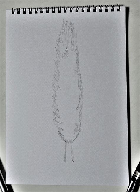 Drawing A Variety Of Trees With A Ballpoint Pen Neko No Onaka