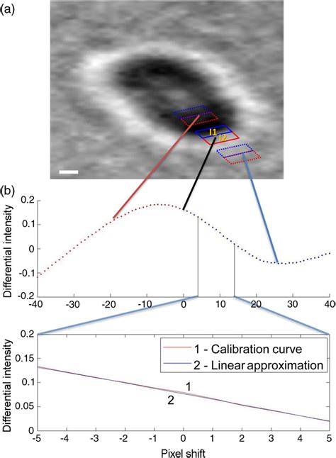 Principle And Calibration Of The Nanometer Scale Optical Tracking Download Scientific Diagram