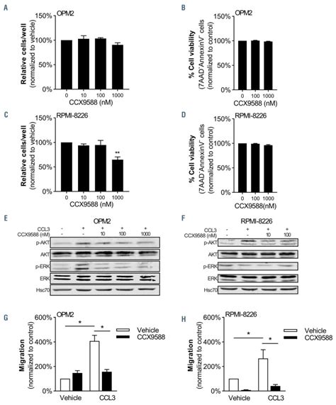 Expression Of The Chemokine Receptor Ccr1 Promotes The Dissemination Of Multiple Myeloma Plasma
