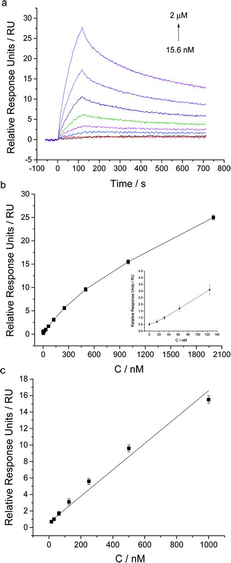 Spr Analysis Of Different Concentrations Of Progrp31 98 Using The