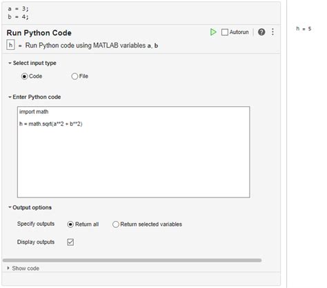 Run Python Code