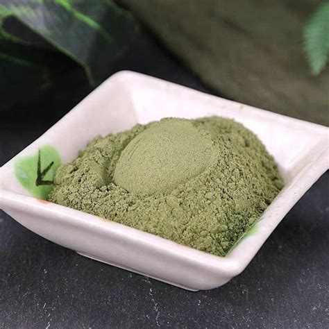 Mankai Duckweed Plant Etsy