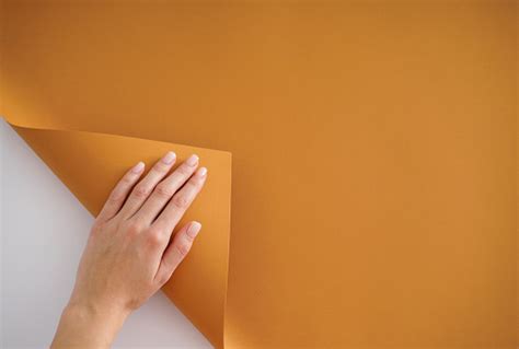 흰색과 베이지 색 배경에 아름다운 매니큐어와 젊은 여성의 손 여성 매니큐어 텍스트 상단보기 평면 누워에 대한 장소 가꿔주기에 대한 스톡 사진 및 기타 이미지 Istock