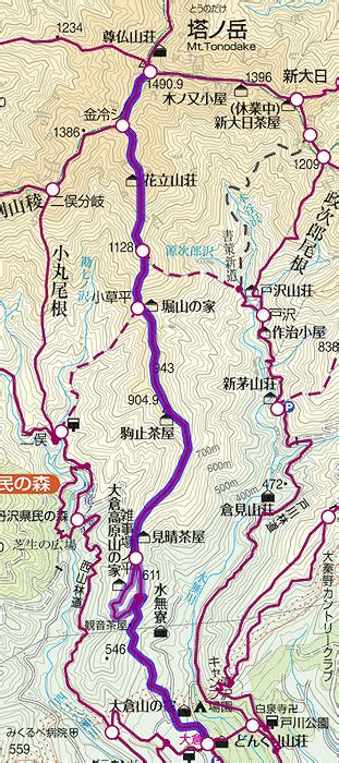 大倉尾根を往復して塔ノ岳