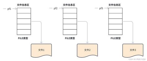 程序设计中的文件类型与操作 csdn博客