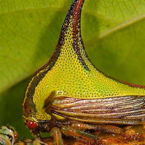 Exploring The Flawlessness Of Nature The Breathtaking Diversity Of