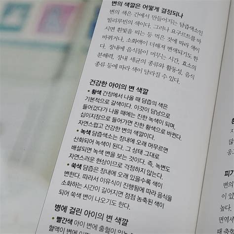 아기 녹변 녹색변 초록변 원인 블루베리 체리 네이버 블로그