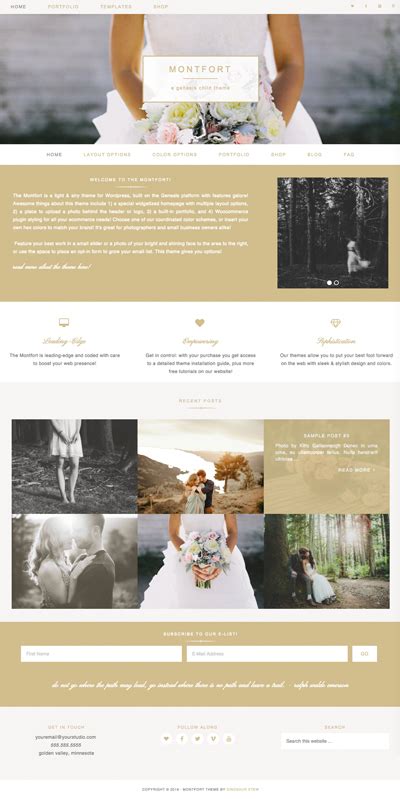 Montfort Theme Screenshot Dinosaur Stew