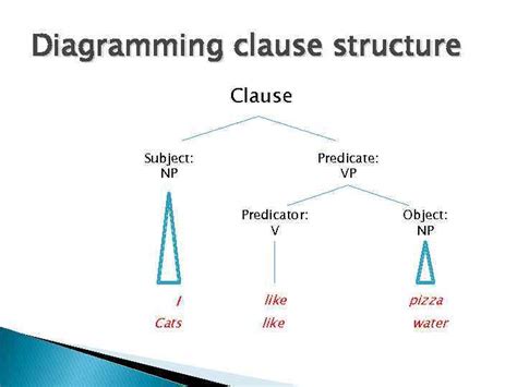 Clause Structure Complements And Adjuncts Clause Structure