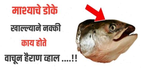 मित्र मैत्रिणींनो तुम्ही पण माशाचे डोके खात असाल तर ही माहिती एकदा