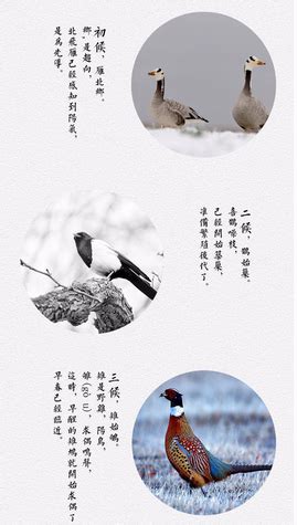 小寒三候 谷雨三候 大寒三候 大山谷图库