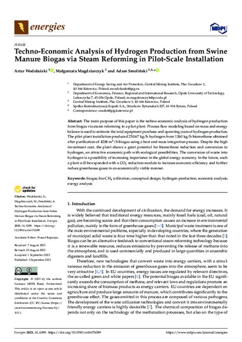Pdf Techno Economic Analysis Of Hydrogen Production From Swine Manure Biogas Via Steam