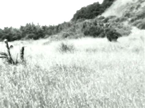 Tiffany Mynx Cellar A Whole New Store Y The Cellar Scene Ai Enhanced Video